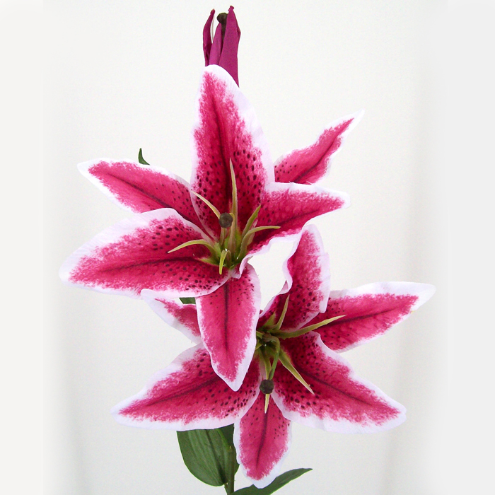 Silk lilies store